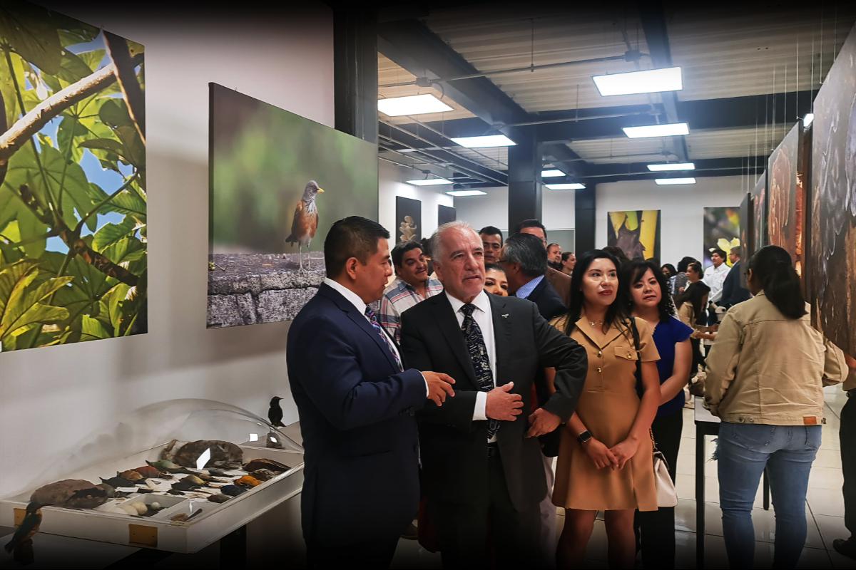 CIB - Nuestro Centro