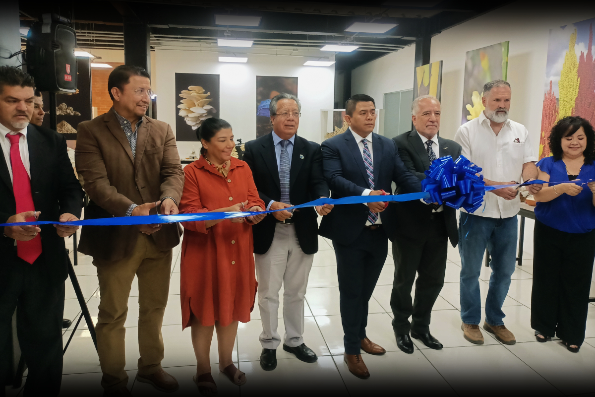 CIB - Nuestro Centro