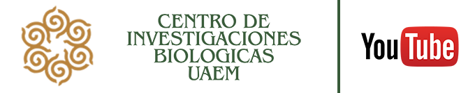 CIB - Segundo Encuentro Virtual de Experiencias del Conocimiento 2021